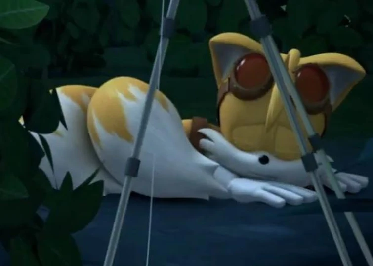 Tails Sleeping (Sonic Boom) | Fandom