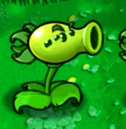 WHO am I (only stoopid answers) | Fandom