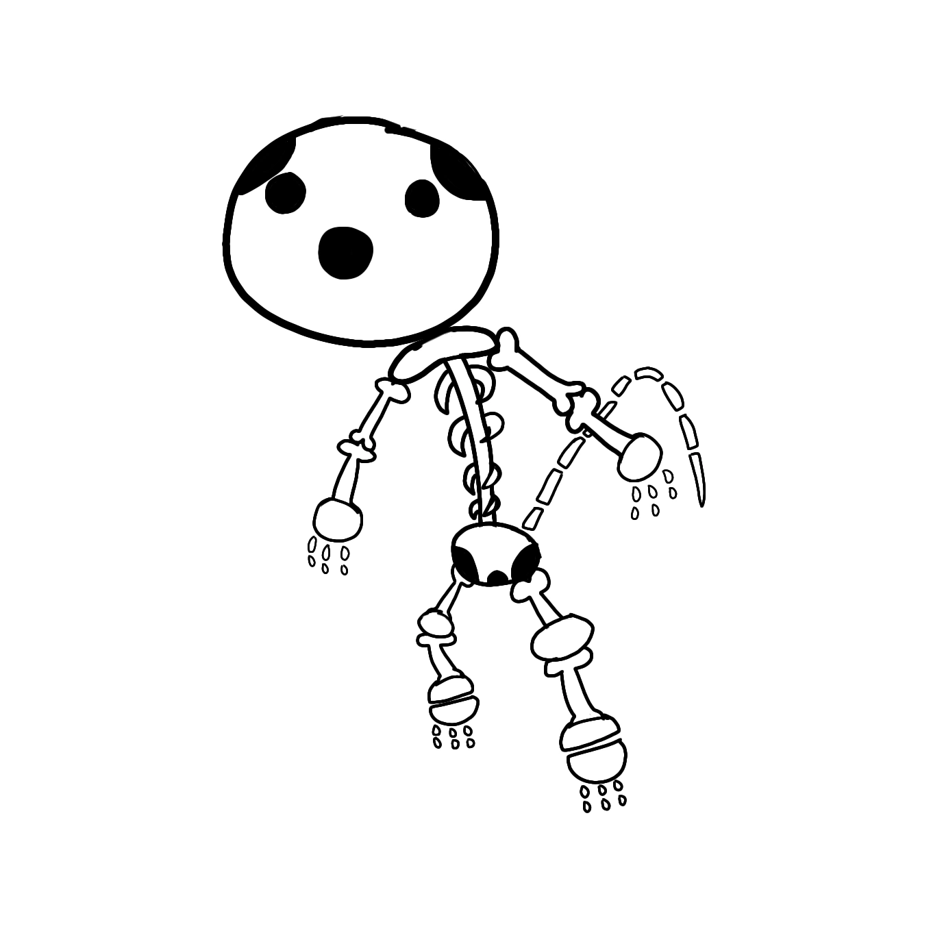 Skeletal System Of Filibuster Obstructa | Fandom