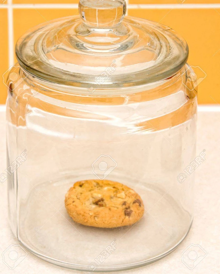 THE LAST COOKIE IN THE COOKIE JAR!!! | Fandom