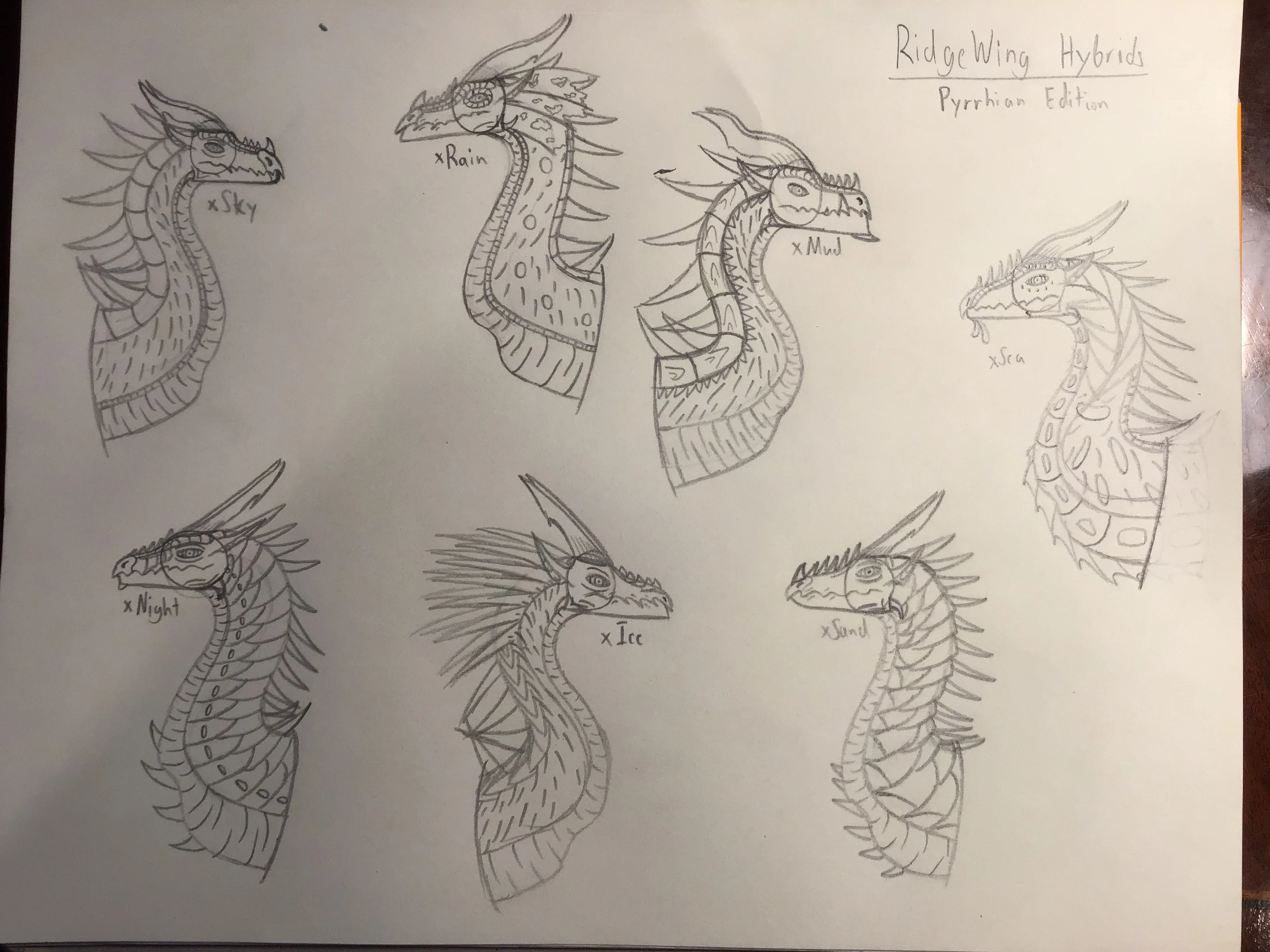 RidgeWing x Pyrrhian Tribe Headshots | Fandom
