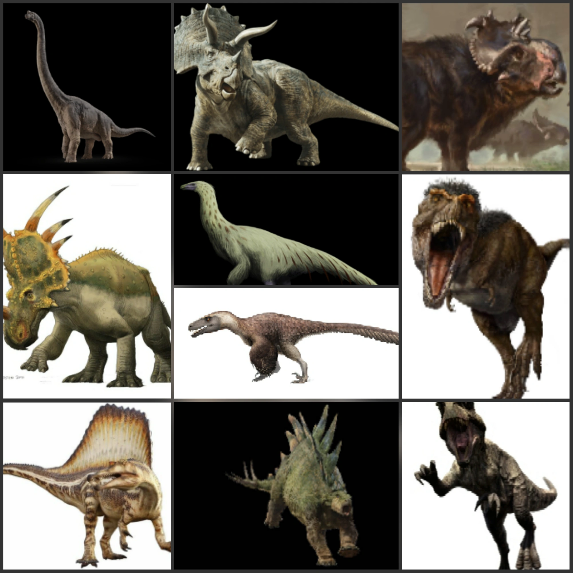 Top 10 favorite dinosaurs: | Fandom