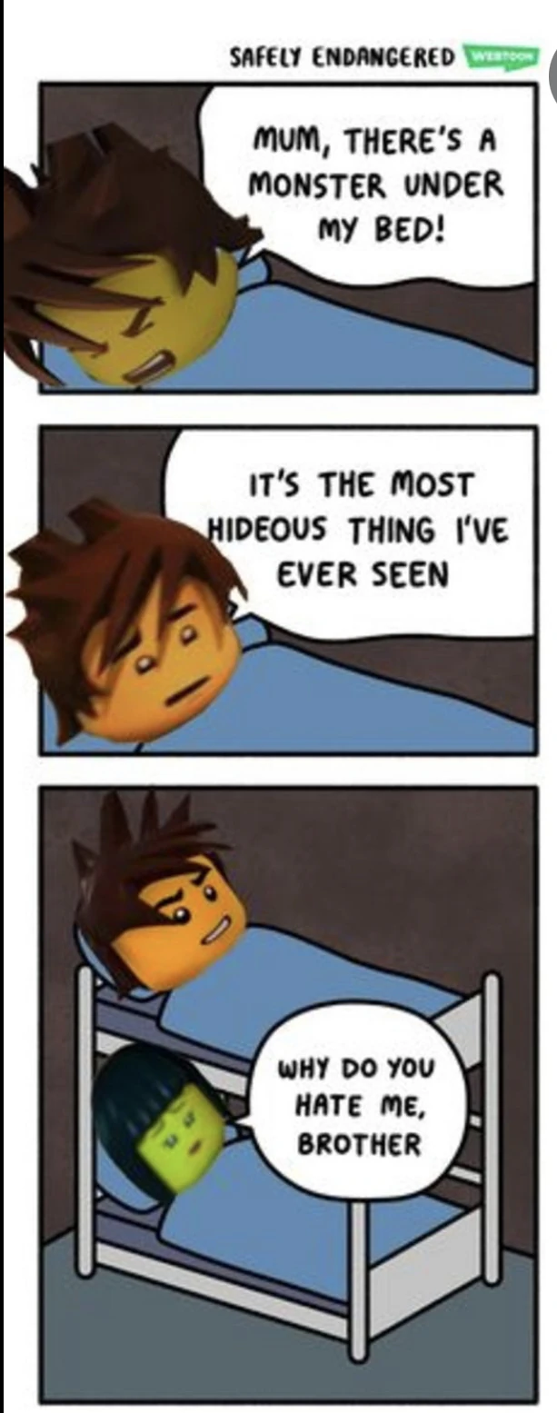 Just found this Kai and Nya Meme | Fandom