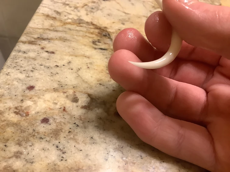 Its tradition! | Fandom