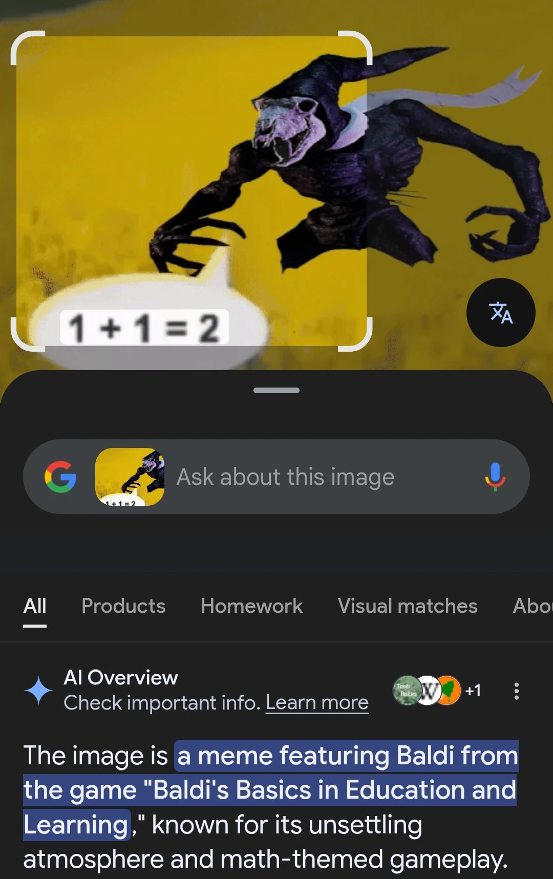 Google Lens at its finest | Fandom
