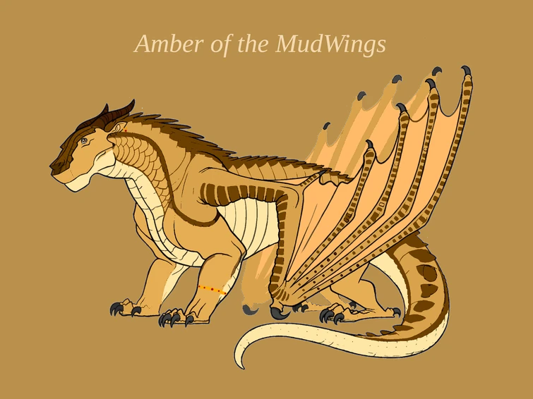 Updated version of Amber | Fandom