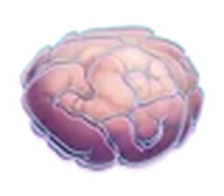 Discuss Everything About My Singing Monsters Wiki | Fandom