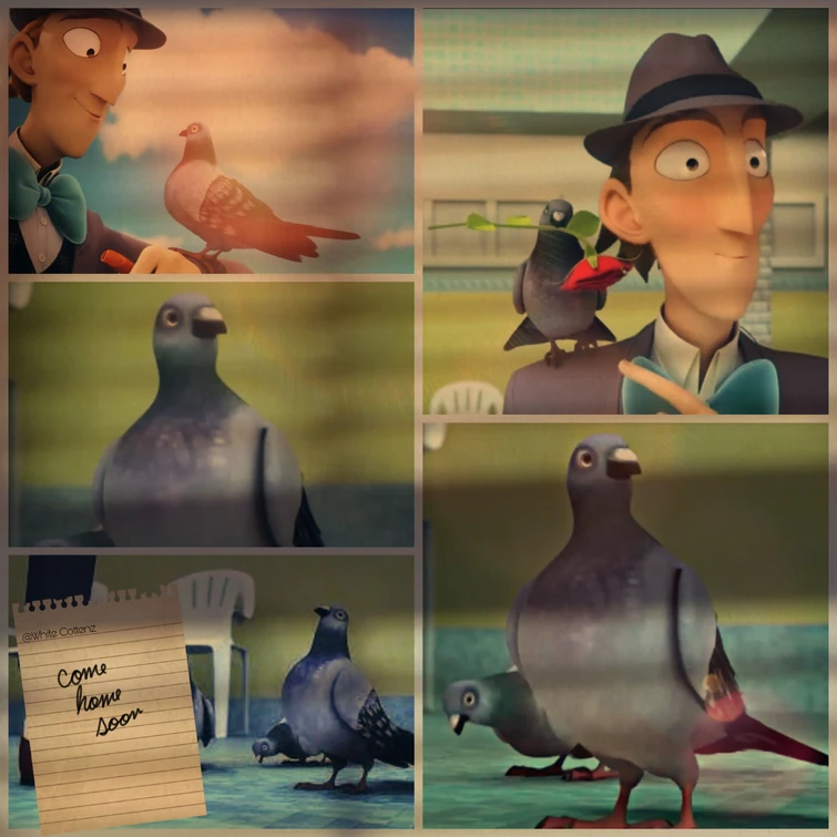 Meet Edger, the best pigeon in Paris. | Fandom