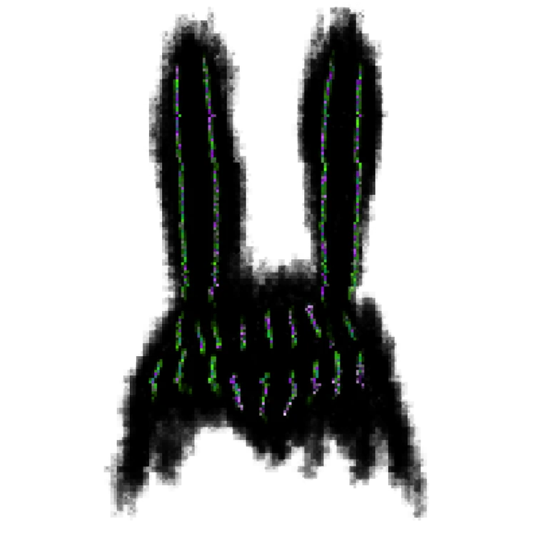 A-80 remake | Fandom