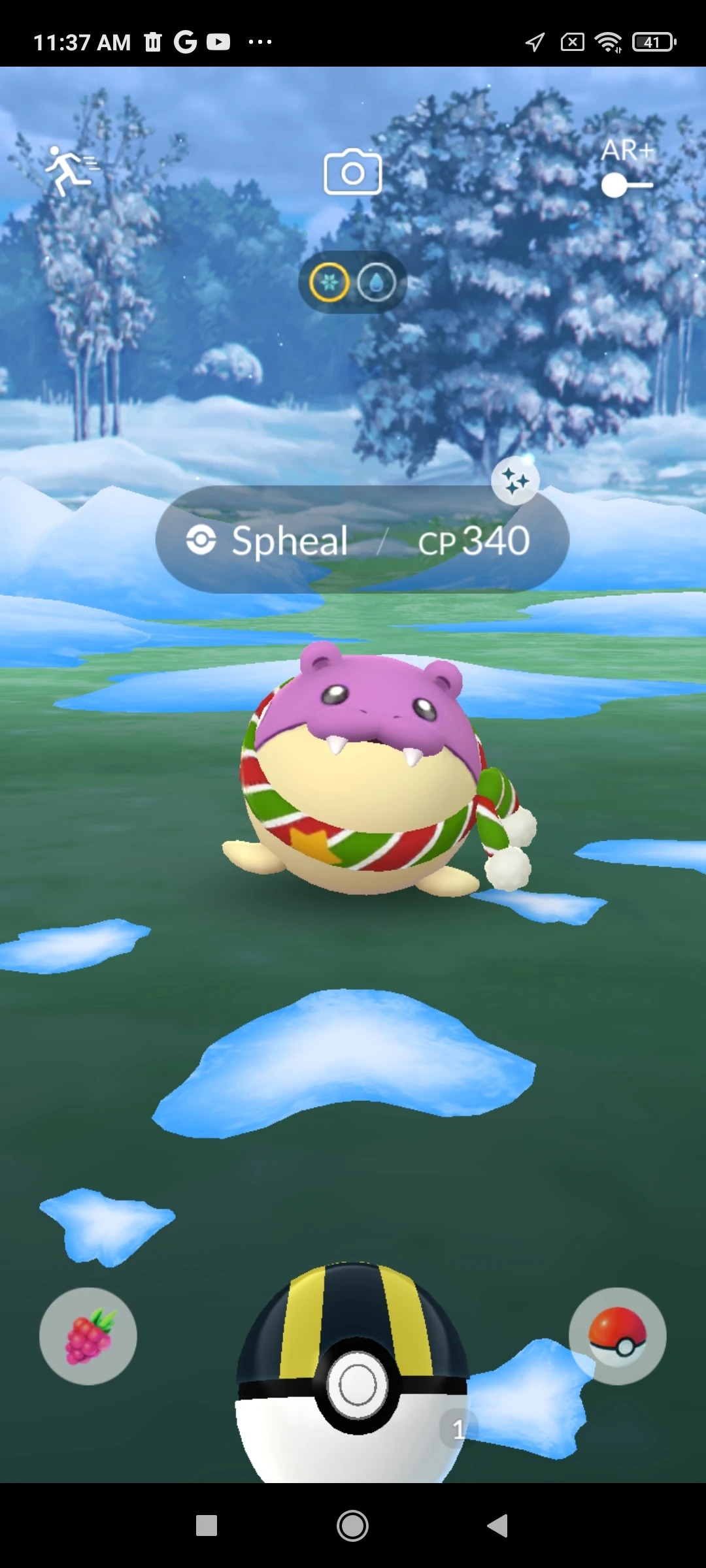 Shiny Costumed Spheal! | Fandom