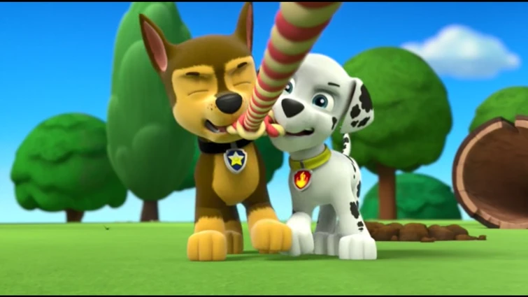 The best moments of Marshall and Chase in season 1. | Fandom