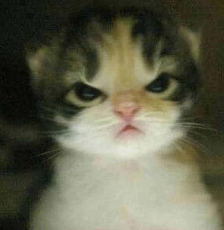 Sanemi has the same amount of sas as a cat and it's adorable | Fandom