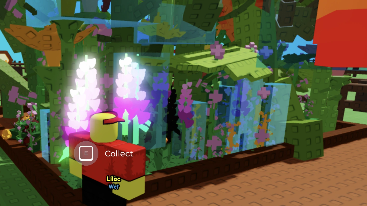 no room for anything | Fandom