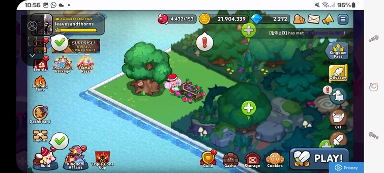 Wow Vampire's bed | Fandom
