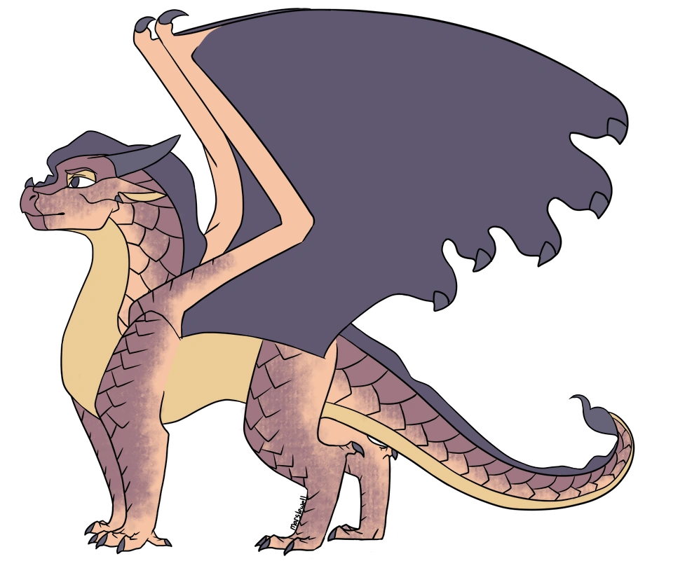 Last raffle I’m doing in 2021! | Fandom