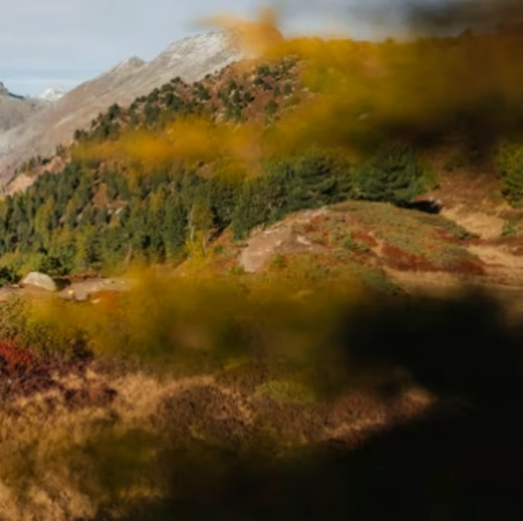 the withering makes me angry, pissy, and all of the above: the most ...