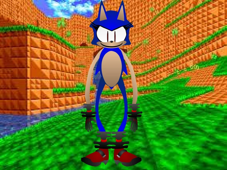 Discuss Everything About CONTINUED: The Sonic Oddities Wiki | Fandom