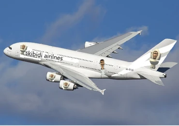 Would you ride on Skibidi Airlines? | Fandom