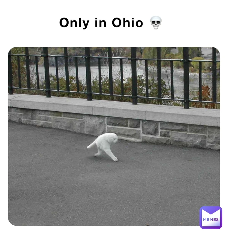 JUST GOT INTO OHIO YALL | Fandom