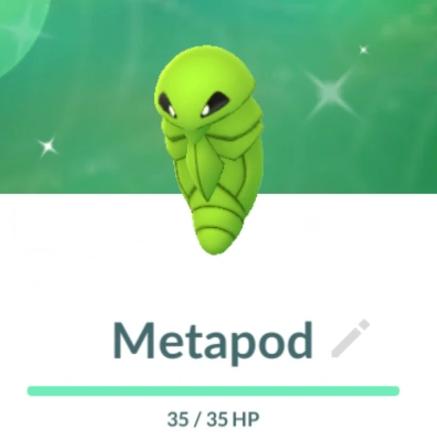 What do you mean, this isn't a Metapod?! | Fandom
