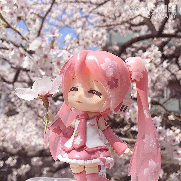 Sakura miku is so cute :DDDD | Fandom