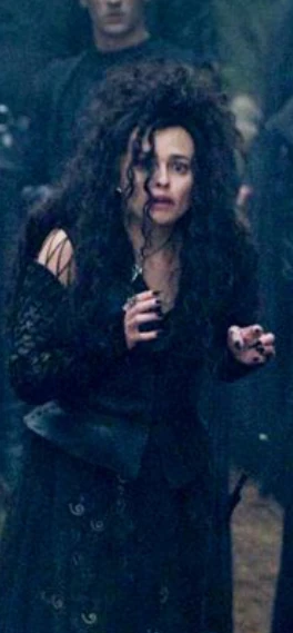 Memes (bellatrix) | Fandom