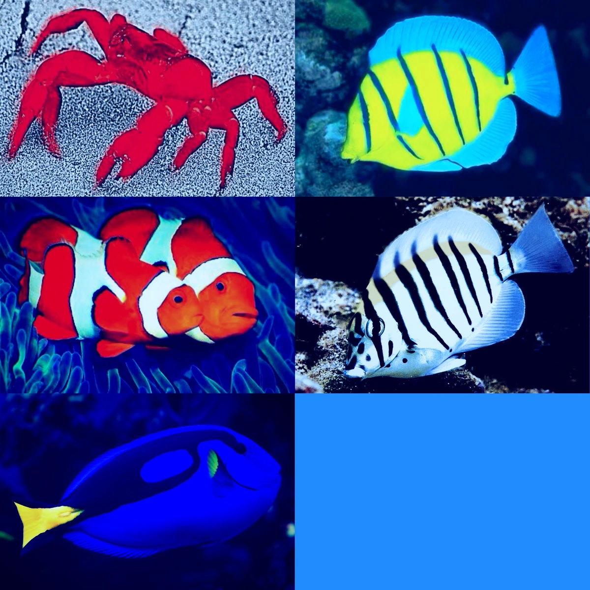 Category:Animals | A100 Wiki | Fandom