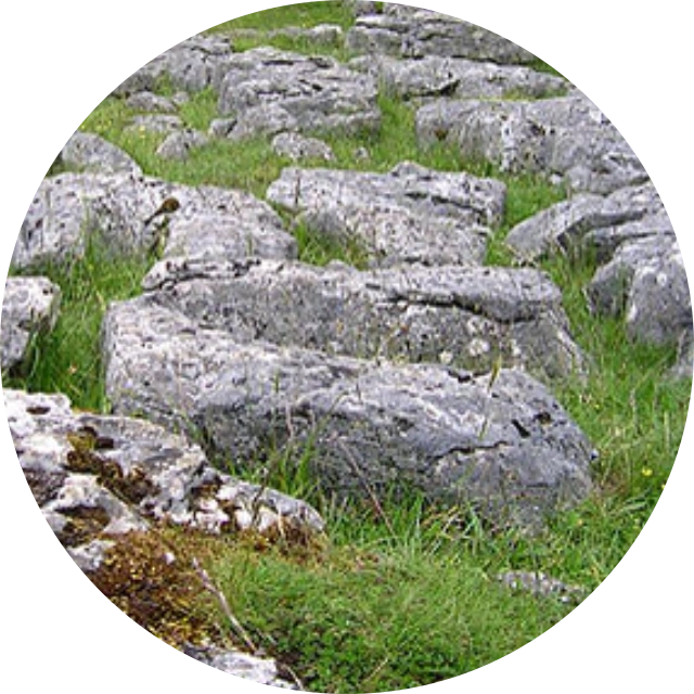 Earth | A101 Wiki | Fandom