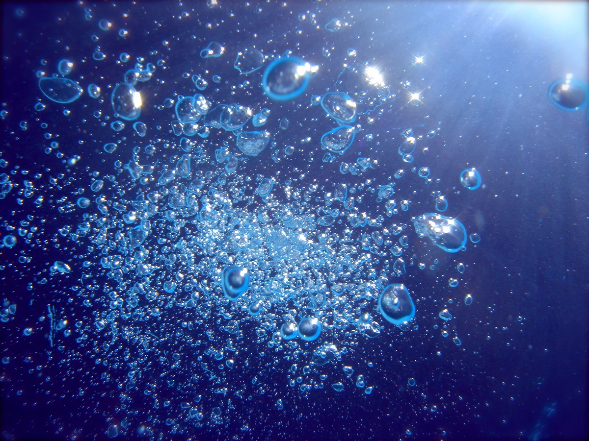 Bubbles | A101 Wiki | Fandom