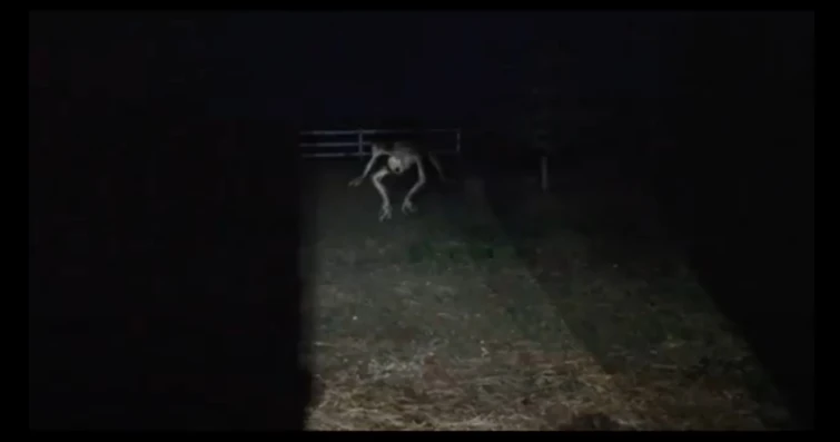 random chain i made | Fandom