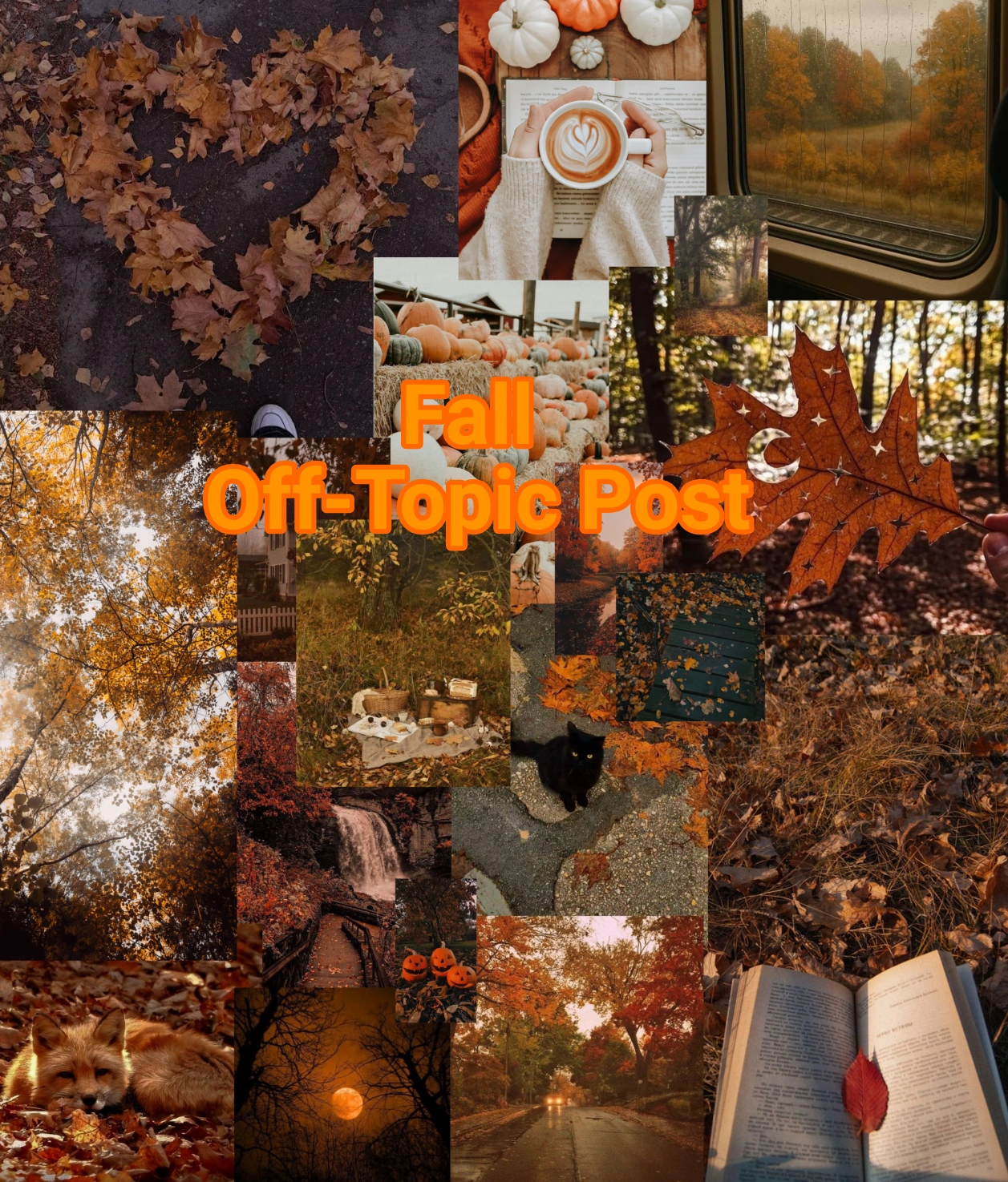 November Off-Topic post! | Fandom