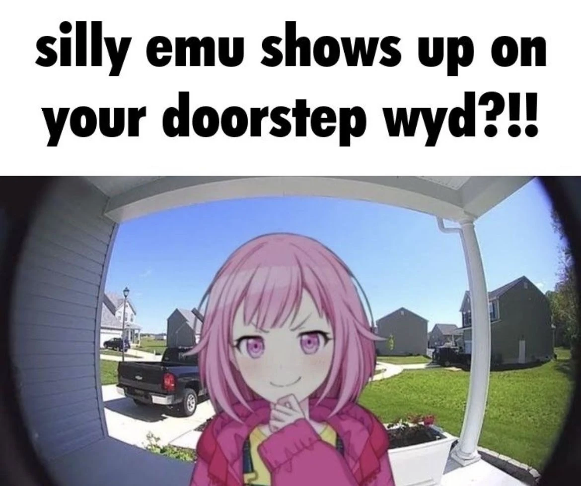 Should I let emu in | Fandom