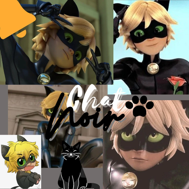 Adrien Edit! | Fandom