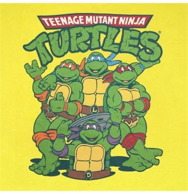 WHAT ARE THE BEST NINJA TURTLES? | Fandom