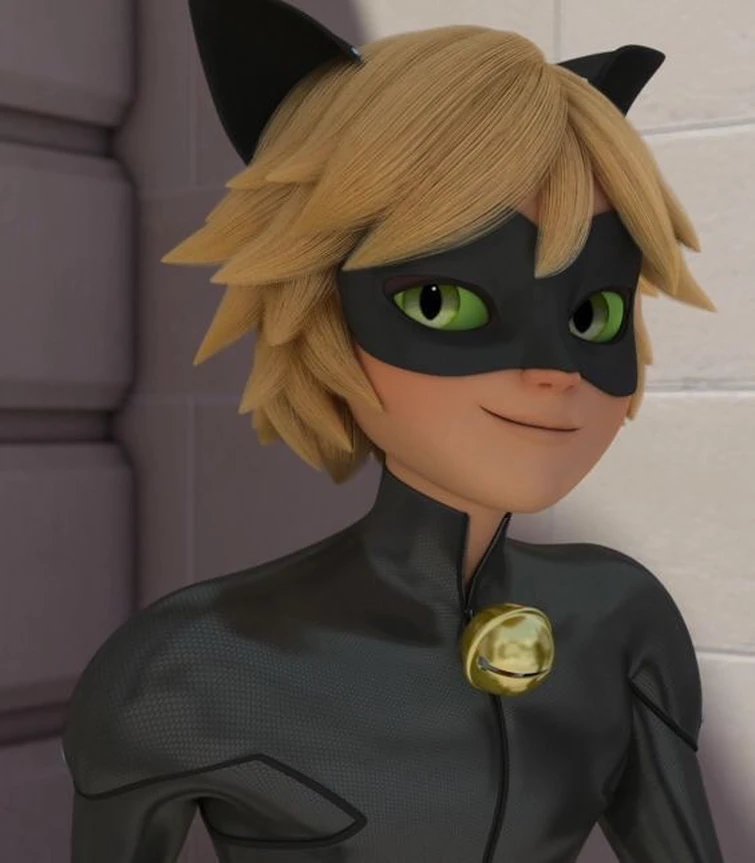 Chat noir smiling to brighten up your day | Fandom