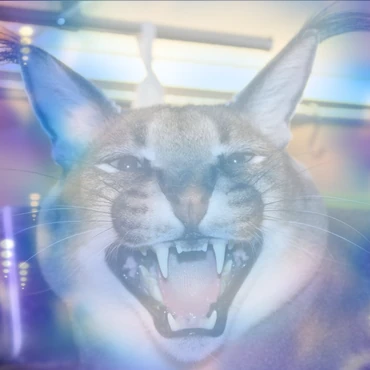 Who will win | Fandom