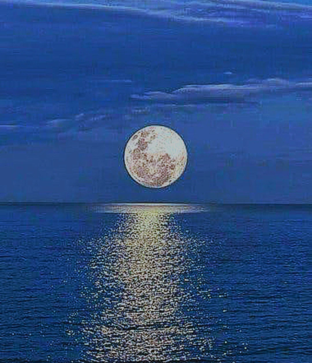 I should actually draw my ocs instead of forgetting they exist | Fandom