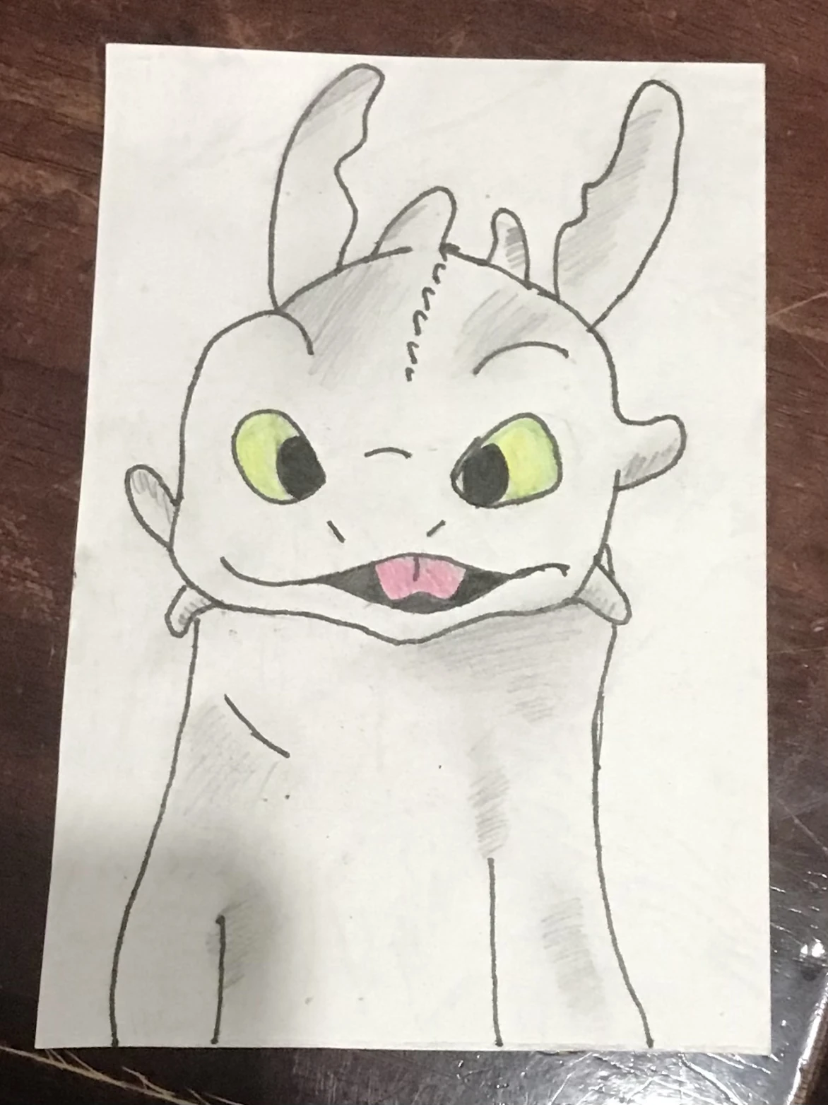 Hey Guys!! I just drew a pencil sketch of Toothless. What do you think ...