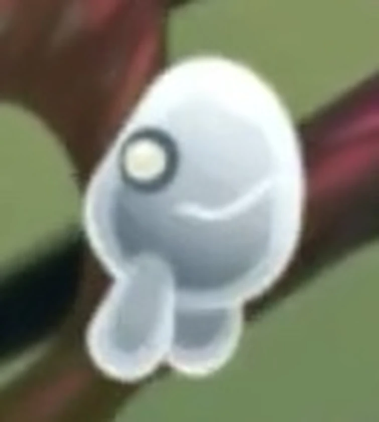 Meeb Pictures | Fandom