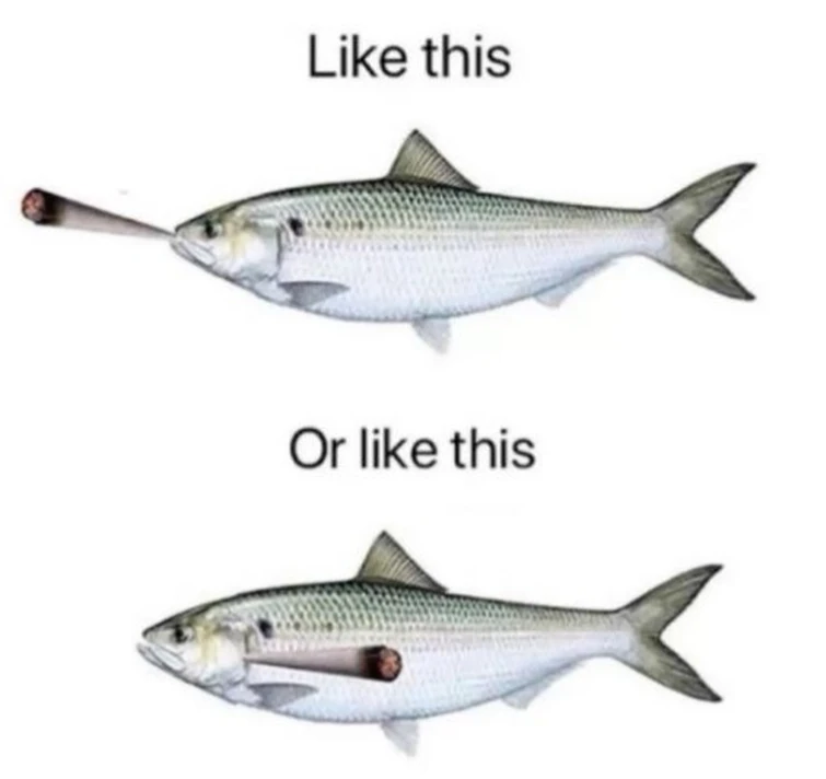 Fish. | Fandom