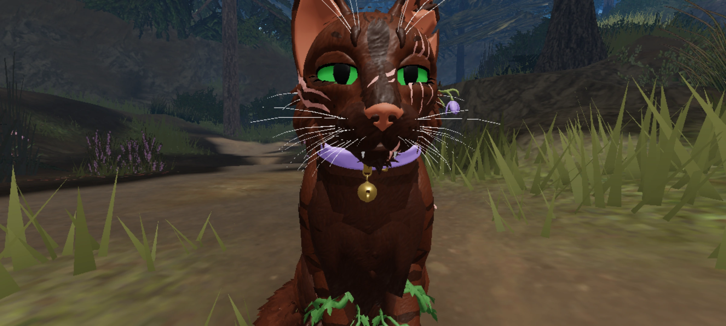Wcue cat oc | Fandom