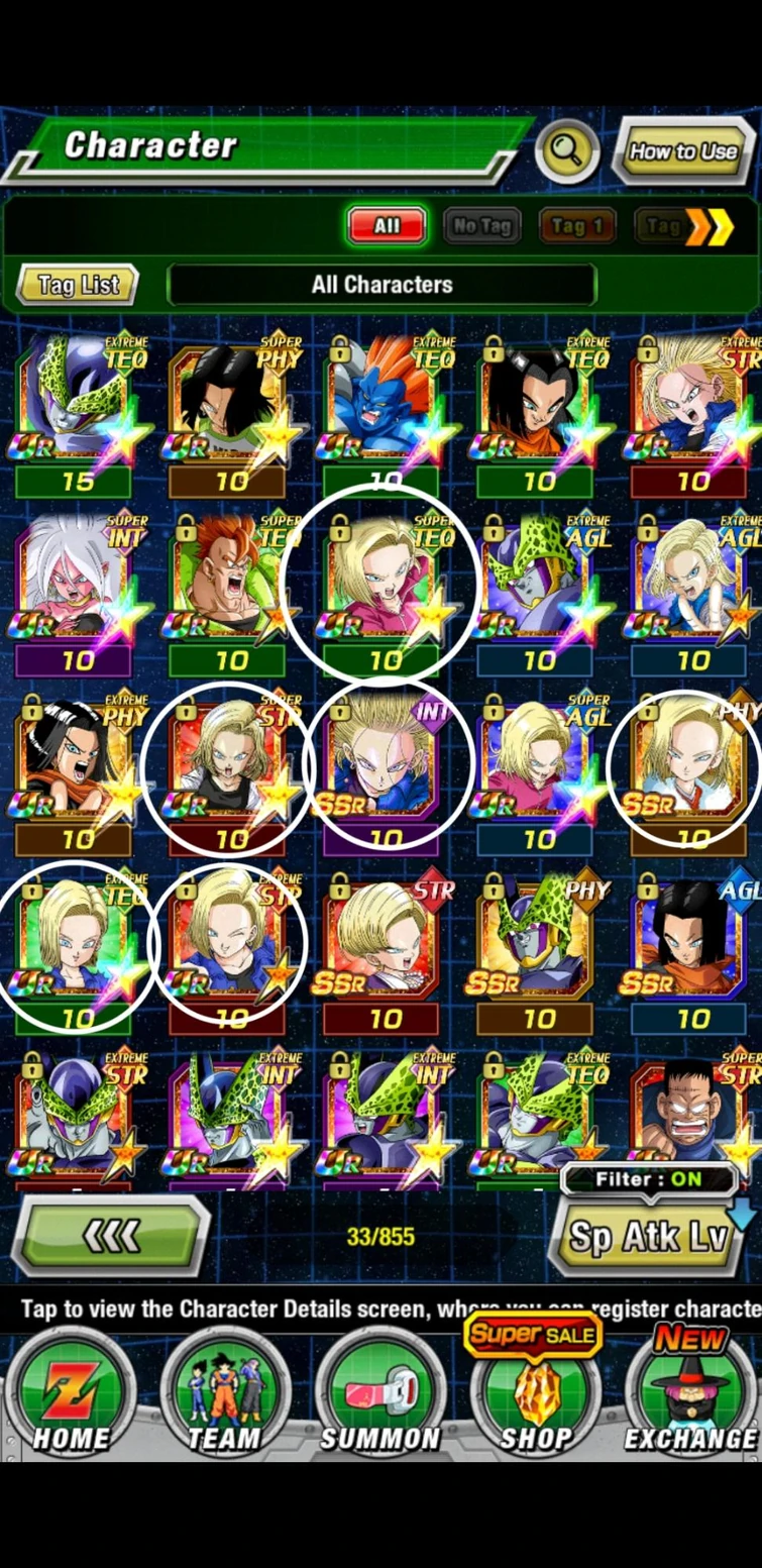 Discuss Everything About Dragon Ball Z Dokkan Battle Wiki | Fandom