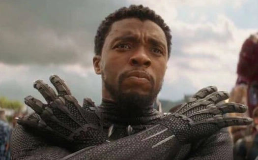 #heroesofwakanda | Fandom