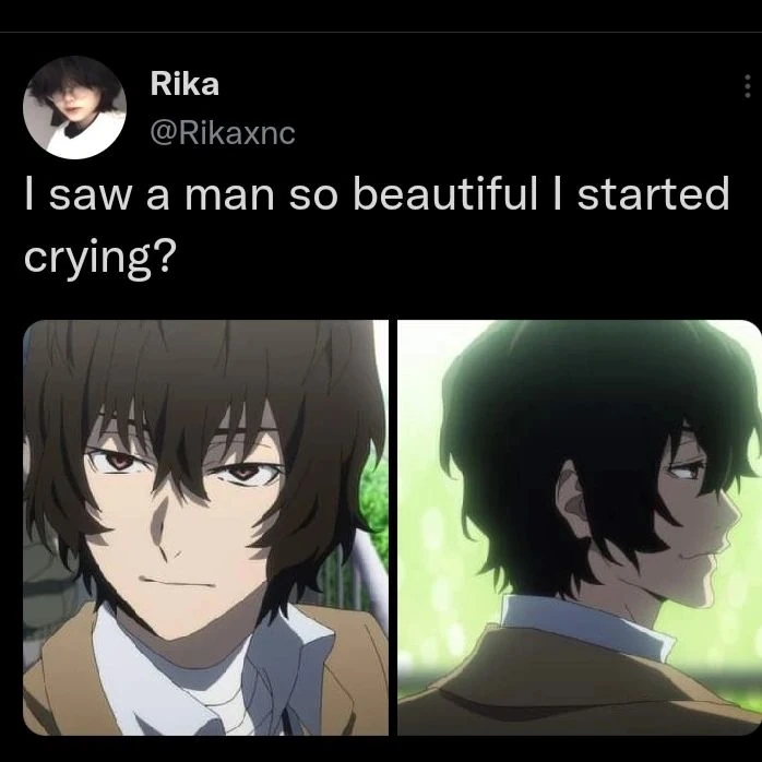 DAILY DOSE OF BSD MEMES 2 | Fandom