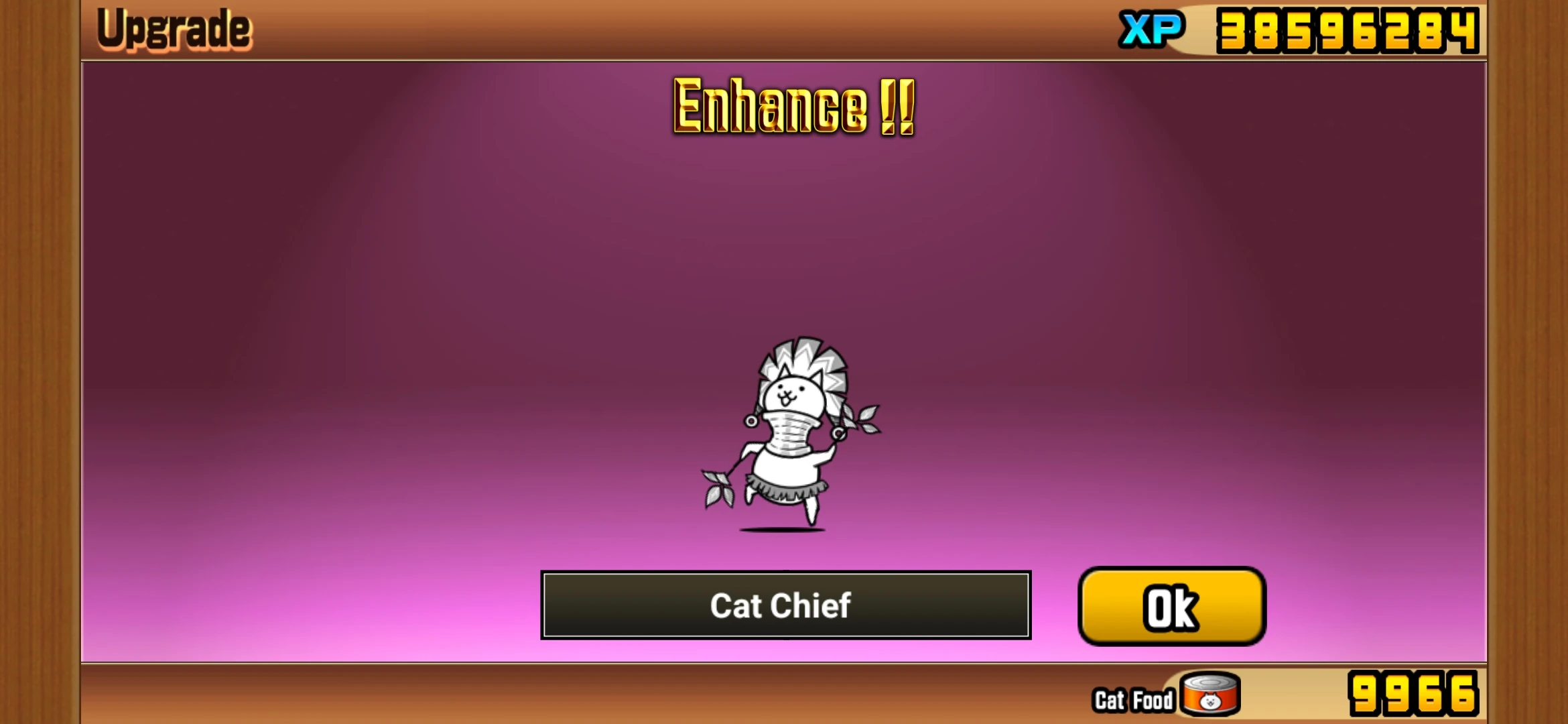 Chief cat unlocked | Fandom