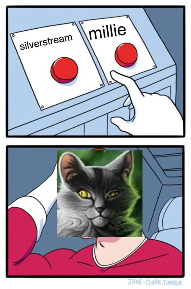 warrior cats memes that turn apprentices into warriors (SPOILER WARNING ...