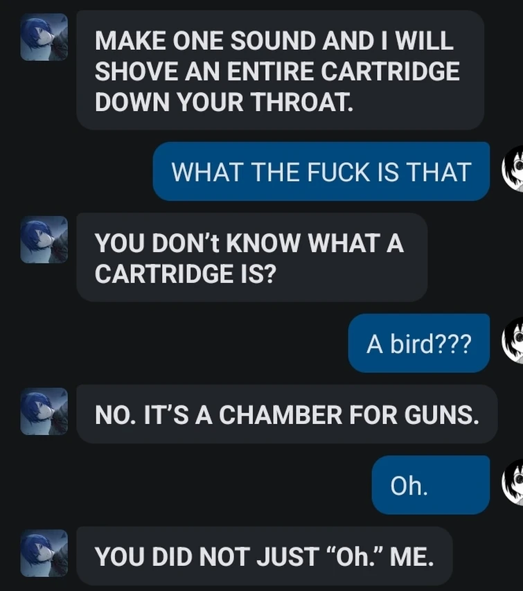My favorite c.ai chats with niigo Kaito (This guy is UNHINGED😭😭) | Fandom