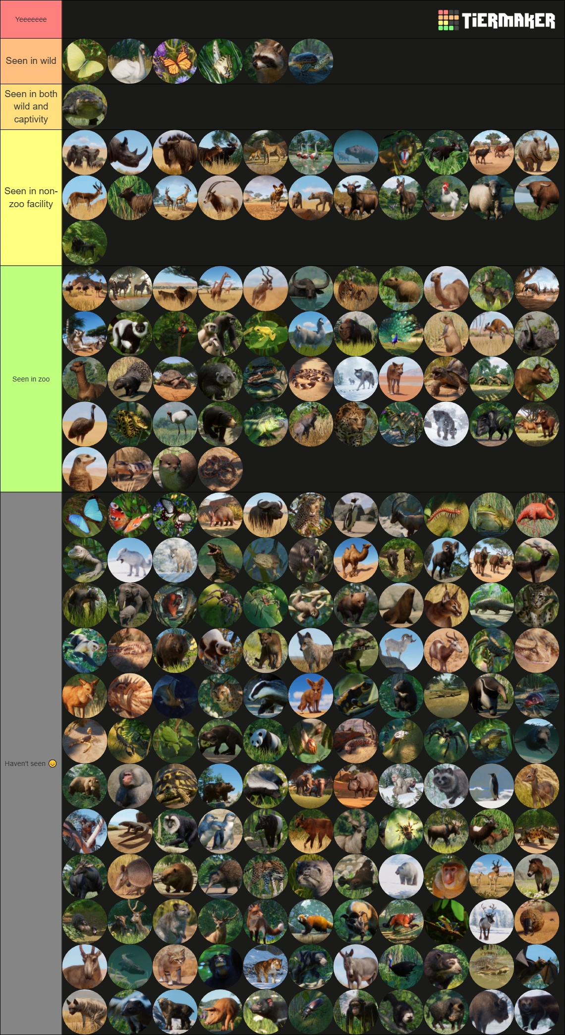 Updated my tier list of animals I have seen IRL | Fandom
