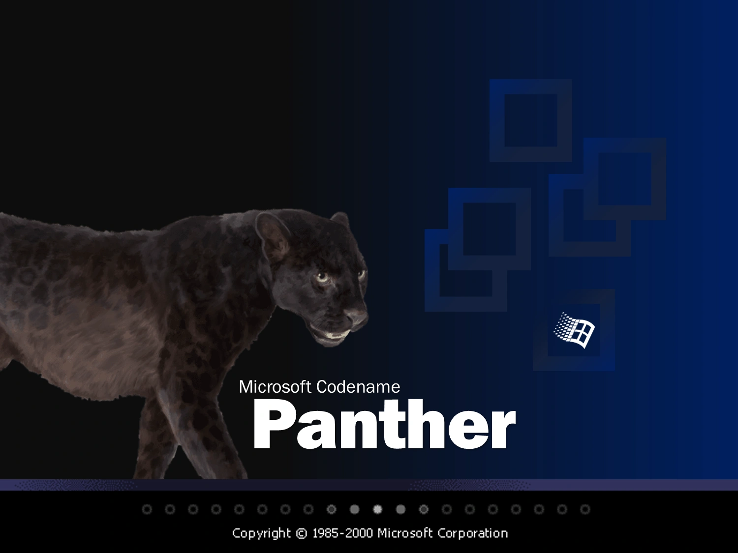 Windows Panther's Setup and Desktop | Fandom