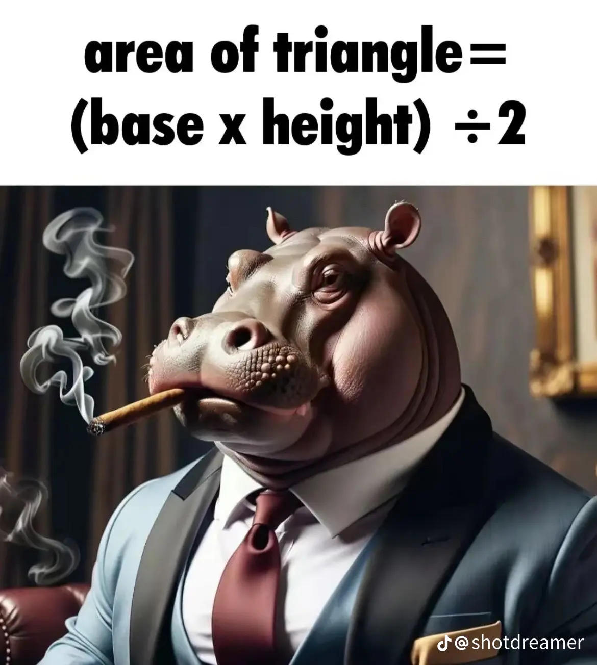 This will probably help you in math 😎😎😎😎 | Fandom